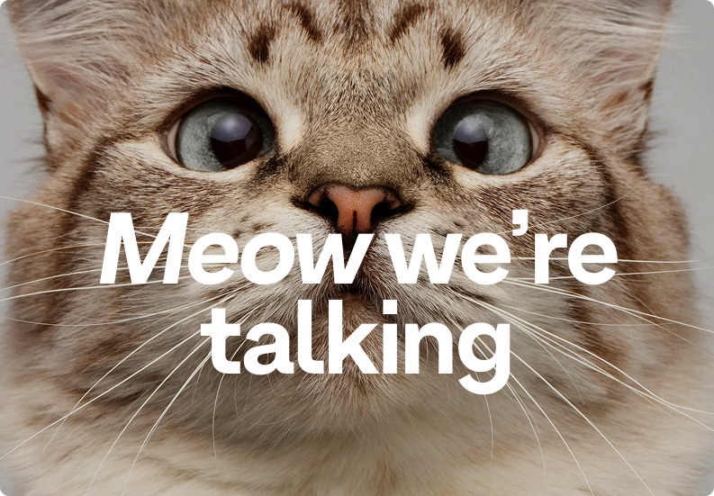 Provet, smarter veterinary software